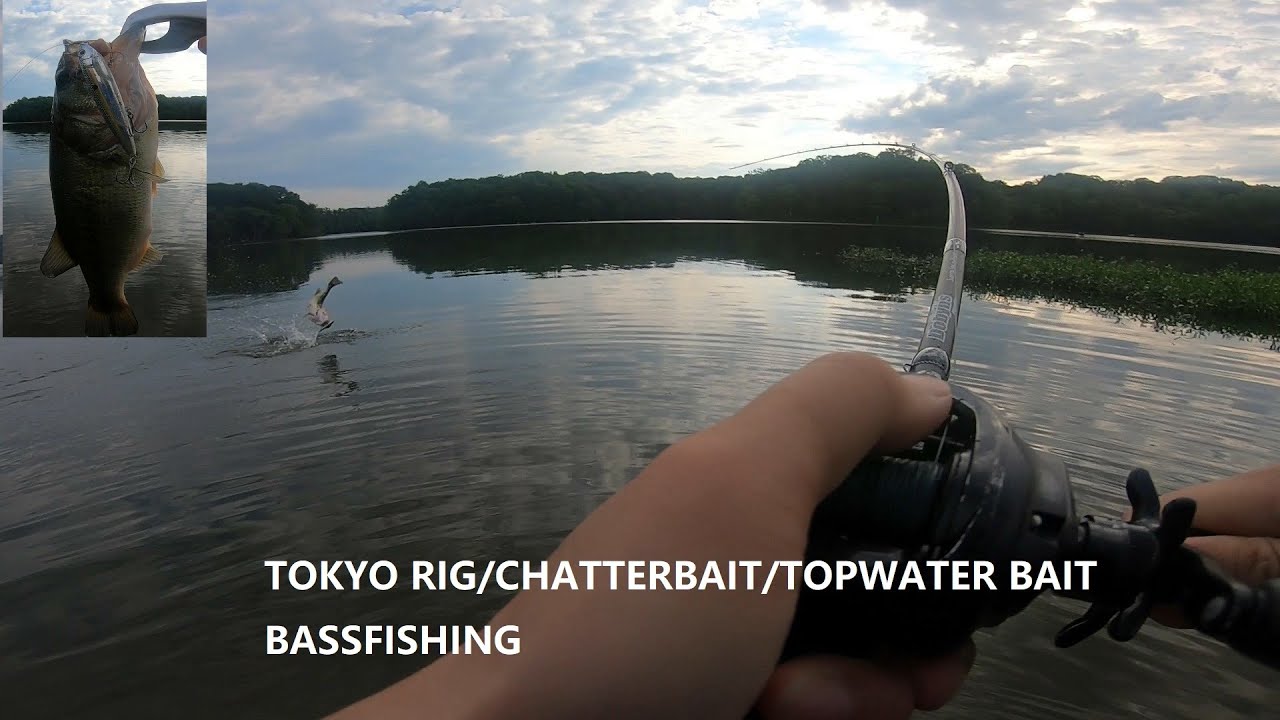 TOKYO RIG/CHATTERBAIT/TOPWATER BAIT BASS FISHING SNAKEHEAD FISHING BASS ...