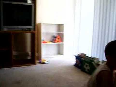 reindeer dominic - YouTube