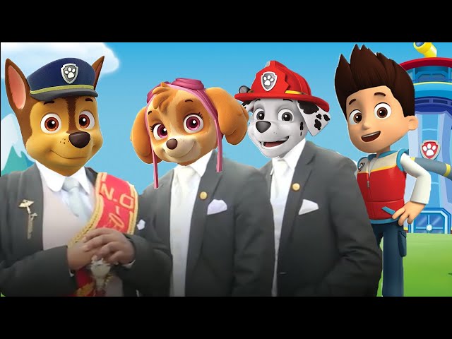Memes Paw Patrol