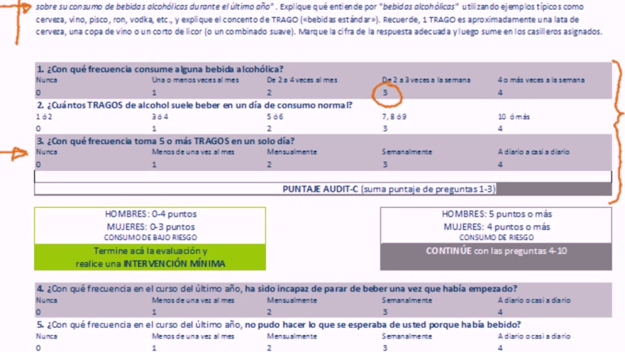 II.a - Guía de evaluación a través de AUDIT (Curso IB Alcohol) - YouTube