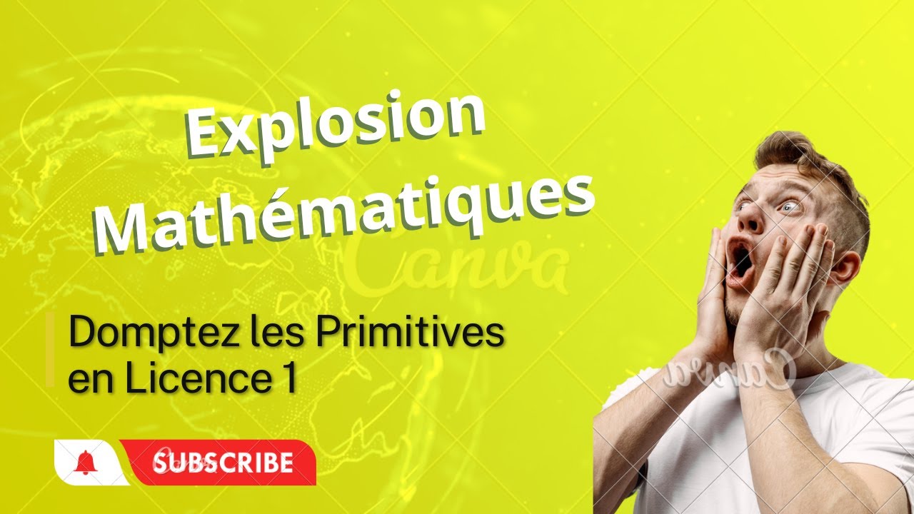 Primitive en Action : Exercice Détaillé pour les étudiants en Licence 1 ...