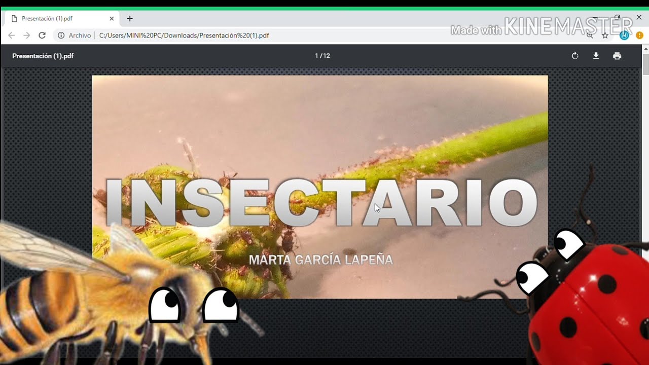 COMO HACER UN INSECTARIO (fotos) - YouTube