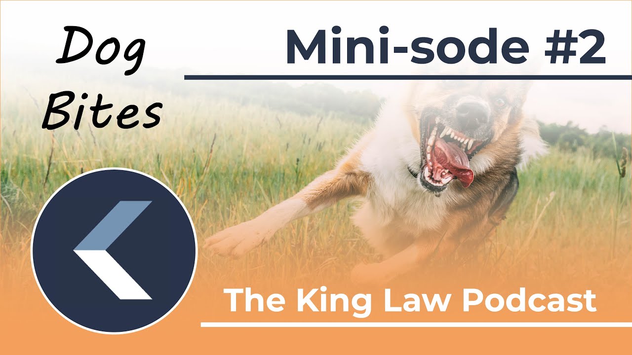What Happens If You Get Bit By A Dog dogs legaladvice fyp what-happens-if-you-get-bit-by-a-dog-dogs-legaladvice-fyp