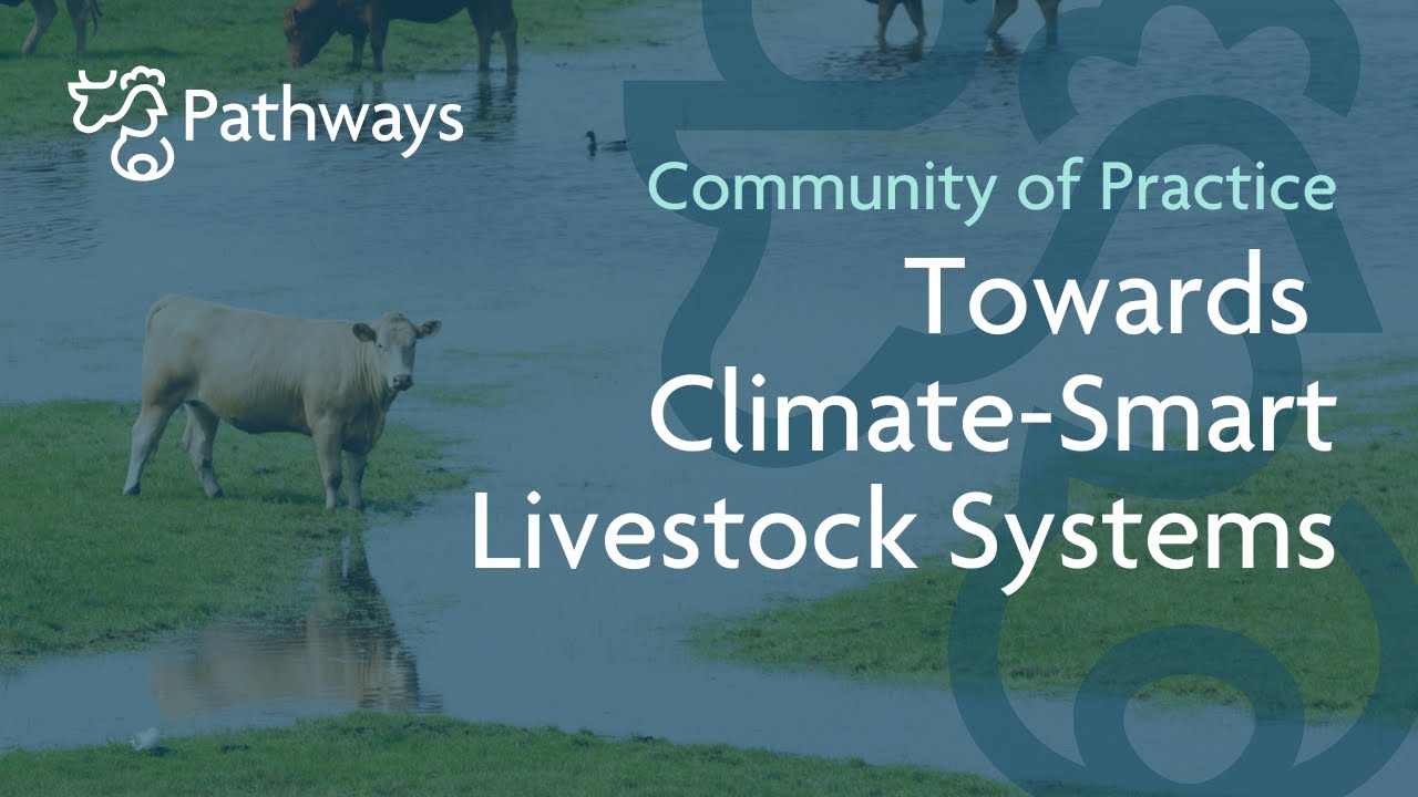 Towards Climate-Smart Livestock Systems - YouTube