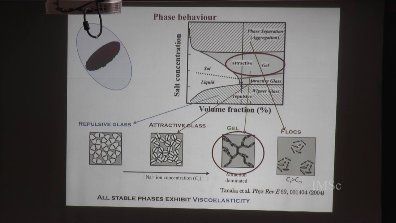Aggregation and stability of anisotropic charged clay colloids in ...
