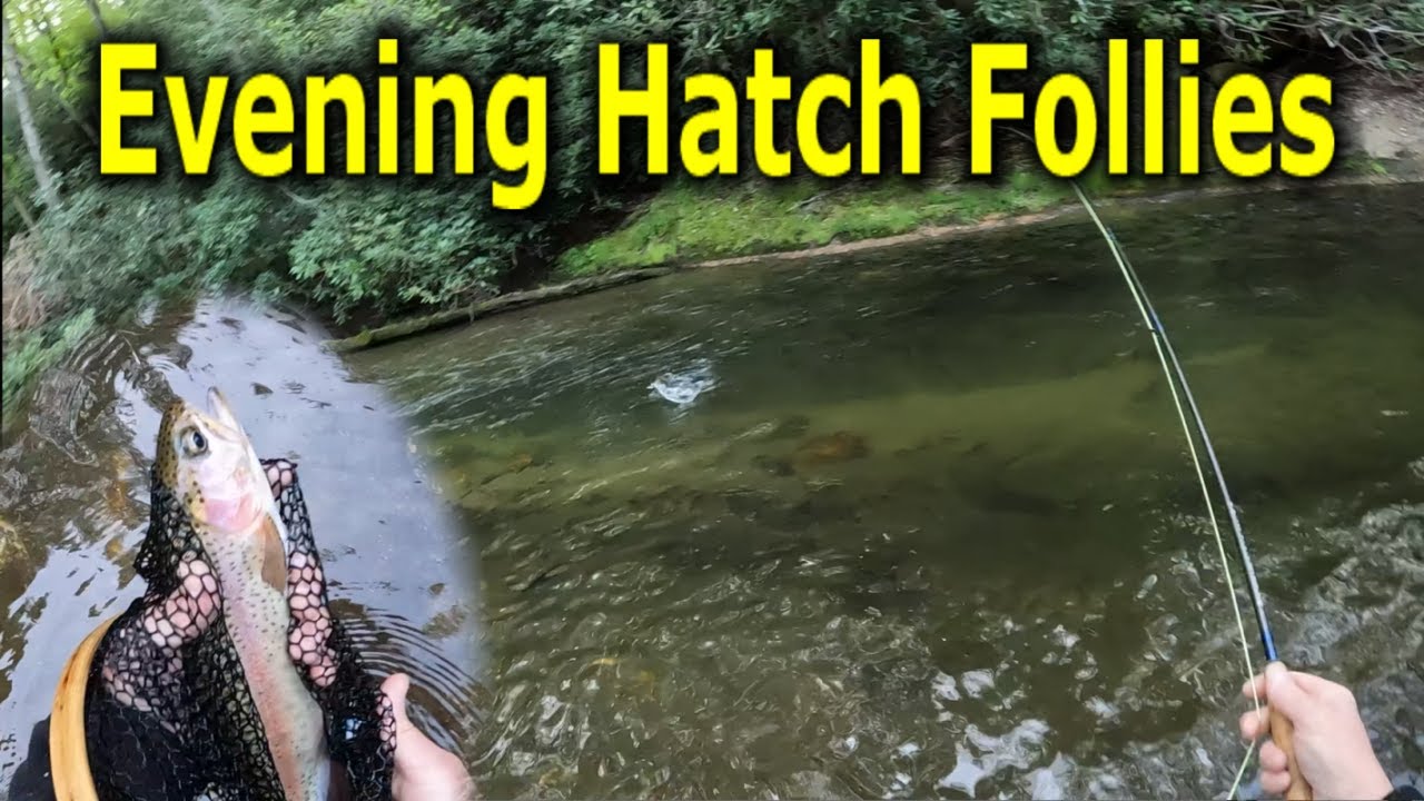 Evening Hatch Crap Shoot Fly Fishing for Trout - YouTube