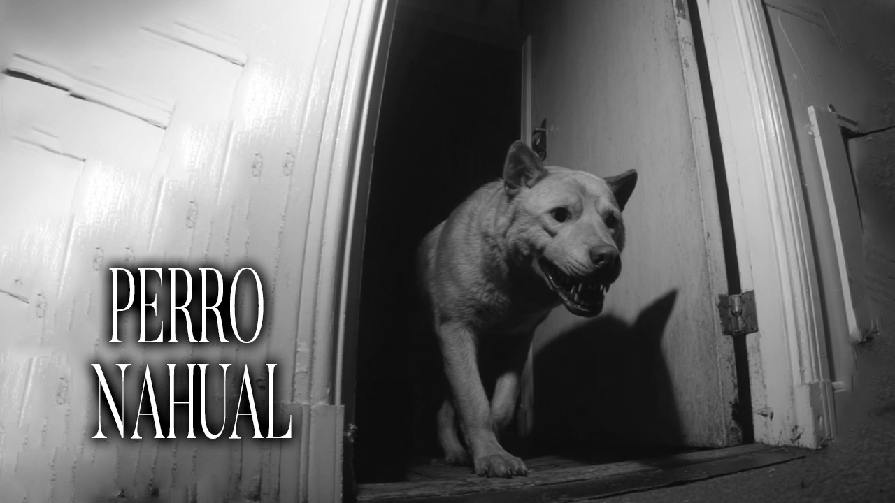 PERRO NAHUAL Sin Lengua Historias De Terror - REDE - YouTube