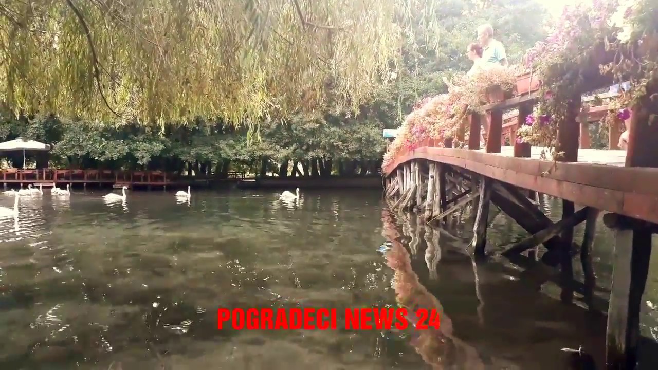 Drilon - Pogradec - Gusht - 2018 - YouTube