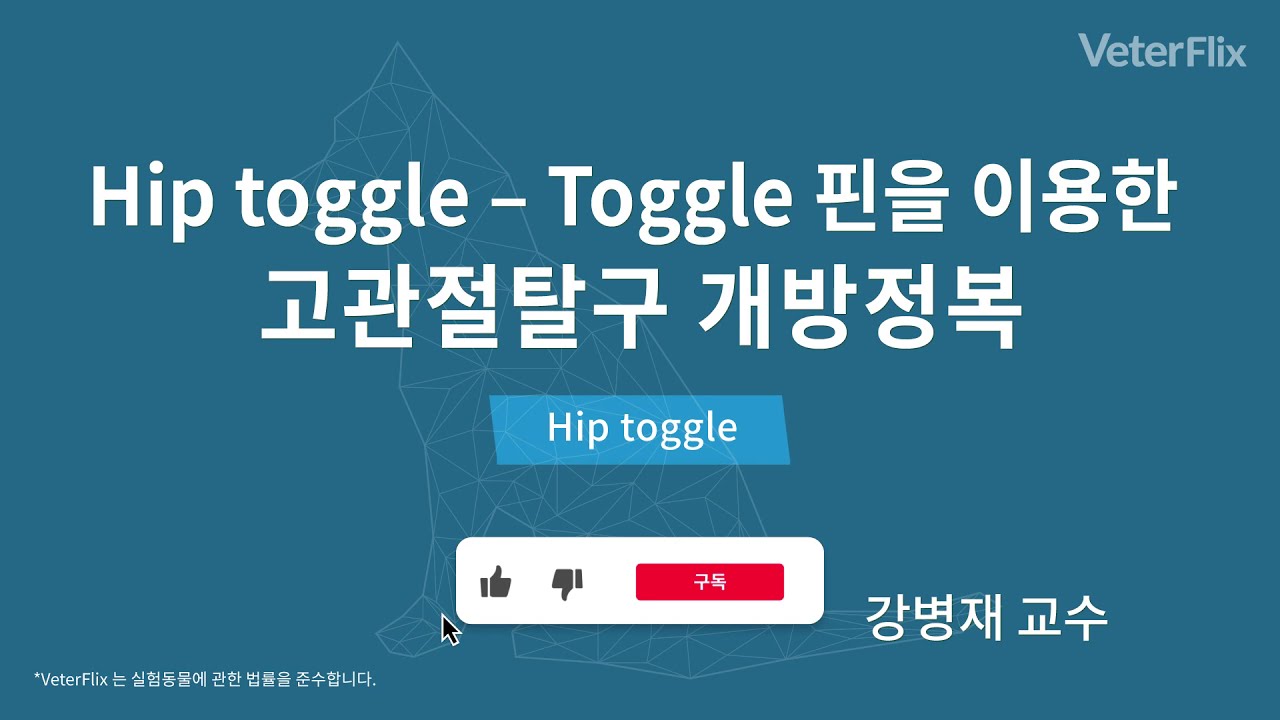 [베터플릭스]정형외과 6강_ Hip toggle – Toggle 핀을 이용한 고관절탈구 개방정복_강의 - YouTube