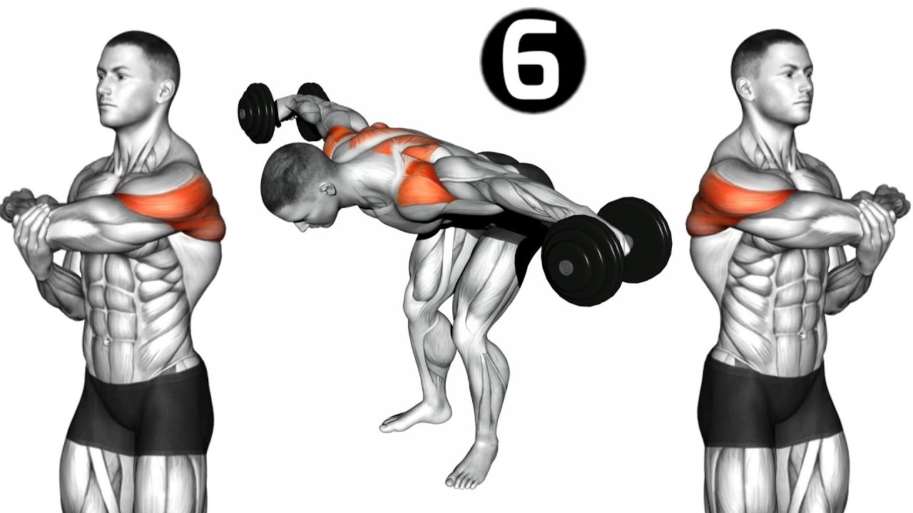 6 Most Effective Rear Delt Workouts For Bigger Shoulder@Fitness Power ...