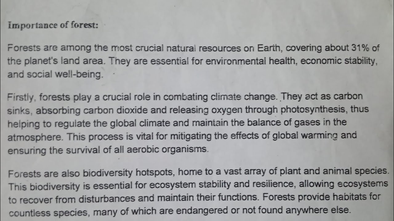 essay importance of forests| importance of forests paragraph|english ...