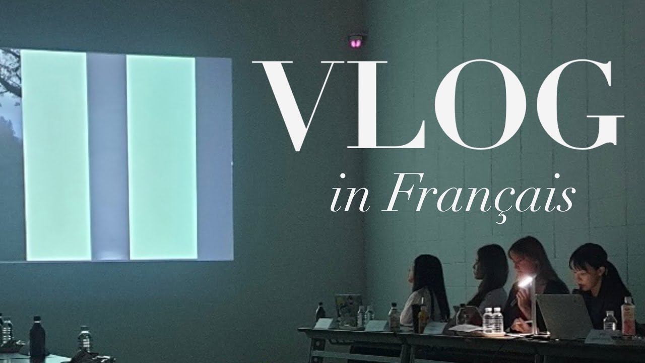 🇫🇷프랑스어 브이로그 FRENCH VLOG (통역 현장+드디어 동화책을 썼습니다!+시우 최애 동화책 소개) CHILDREN'S ...