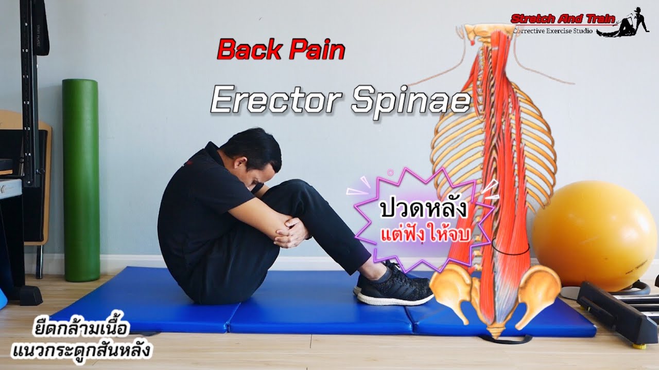 🔰Back Pain:Erector Spinae Stretching - YouTube
