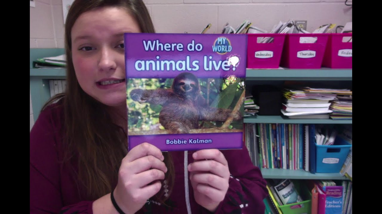 Where do Animals Live? (Read Aloud) - YouTube