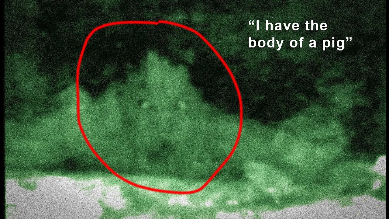 Top 5 Encounters with DEMONS AND CRYPTIDS - YouTube