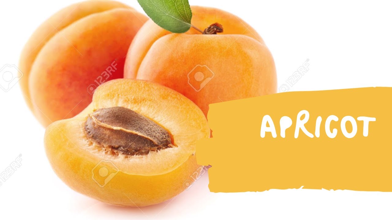 Ang puno ng apricot bow - YouTube