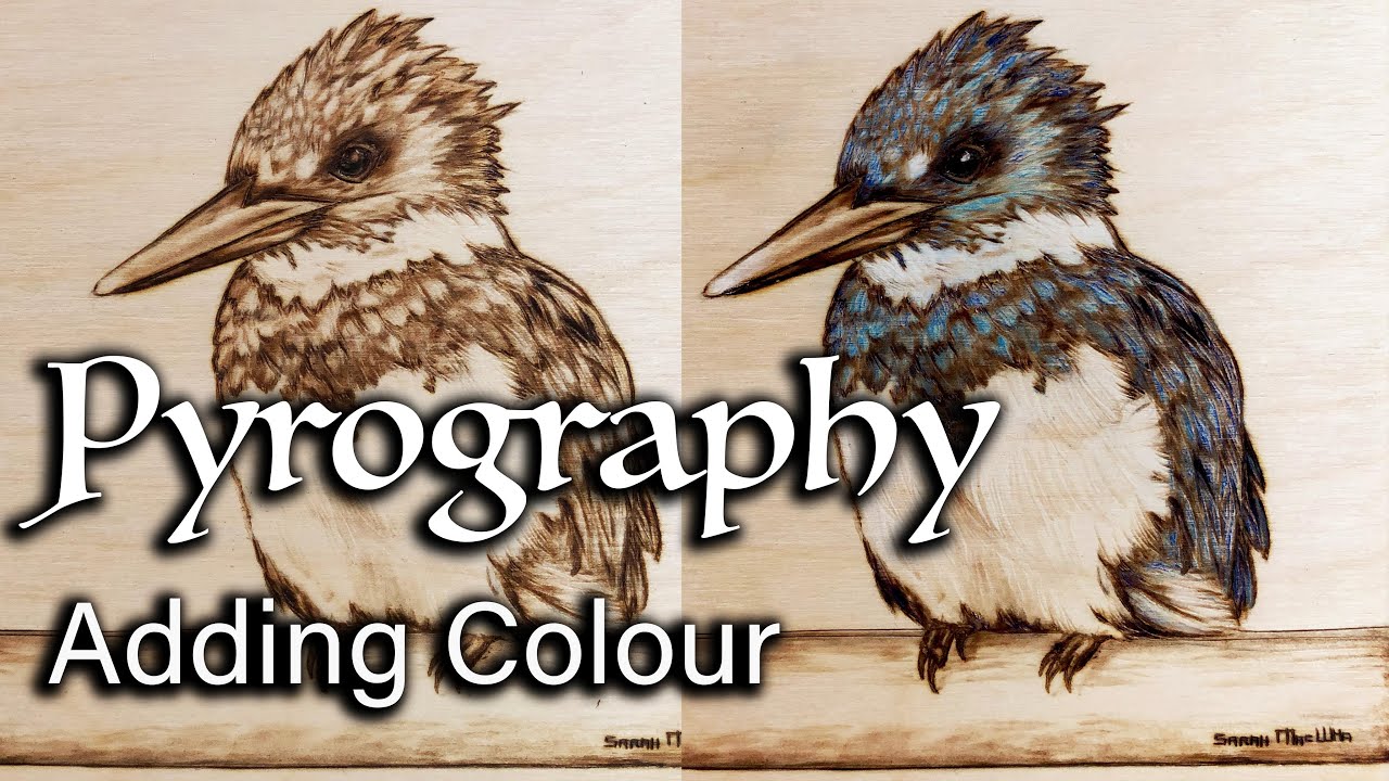 Adding Colour to Wood Burning? | King Fisher with Colourful Feathers ...
