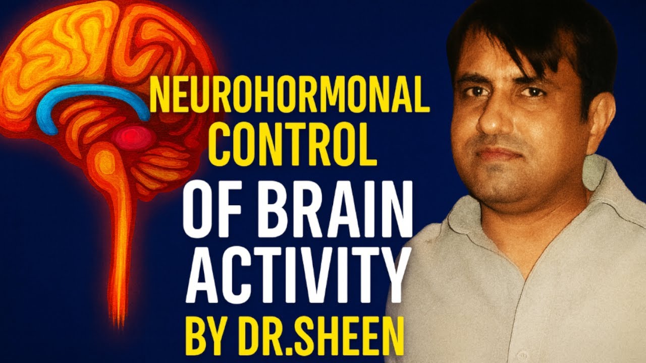 Neurohormonal Control of Brain Activity Quiz base video - YouTube