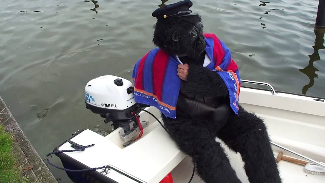 Gorilla TV: Gorilla escapes from island with my boat! - YouTube