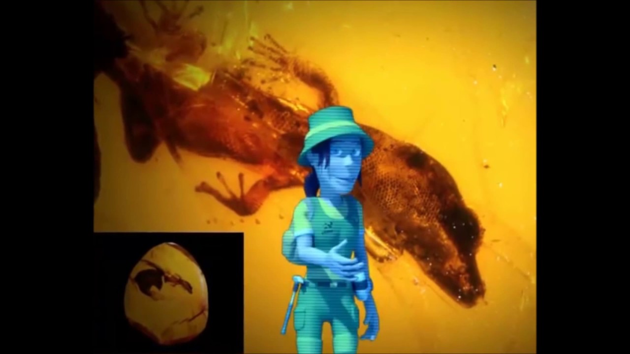 El Ambar - La Historia de la Resina Fósil - Amber - The History of ...