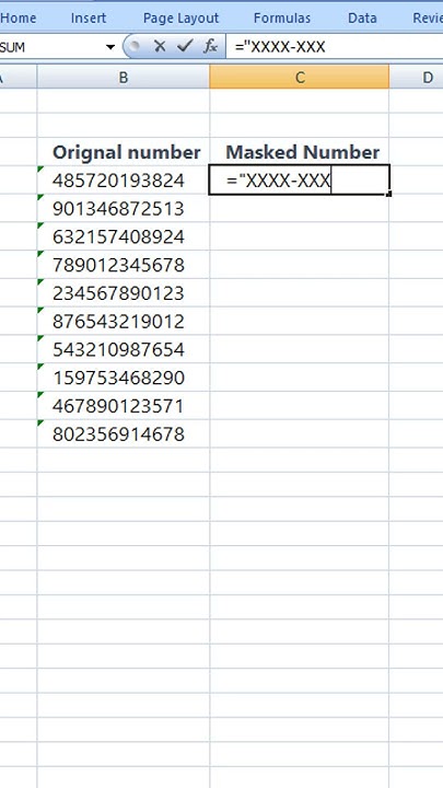 How to mask Numbers in Excel? - YouTube