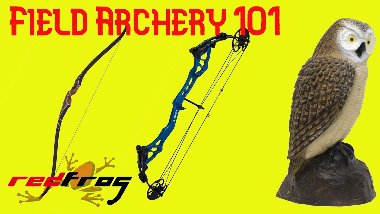 Field Archery 1o1 A quick Guide and the equipment you will need - YouTube