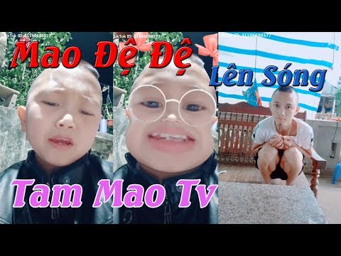 Mao Đệ Đệ Chơi Tik Tok Max Hài 2019 | Tam Mao Tv