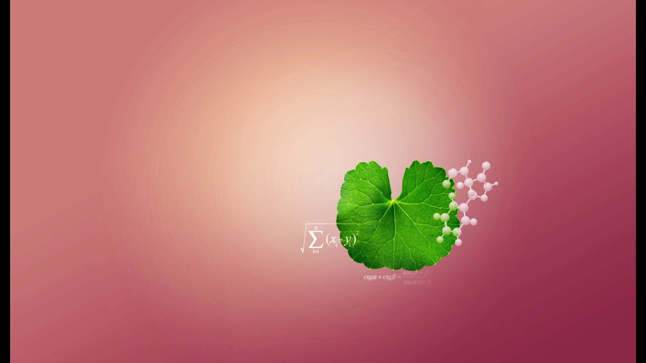 Centella Reversa™ | Spanish - YouTube