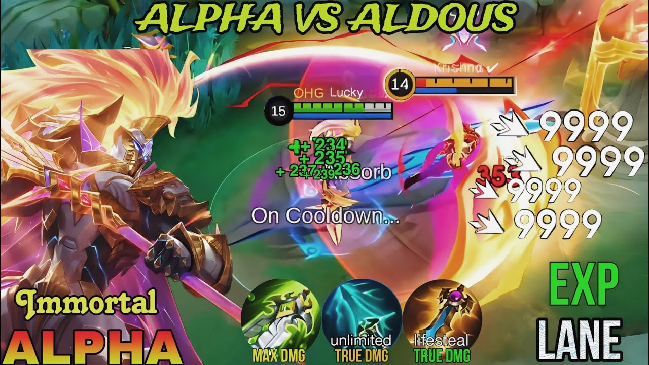 NEW TUTORIAL ALPHA ONE SHOT BUILD 2024 MAX DAMAGE ! ALPHA BEST BUILD ...
