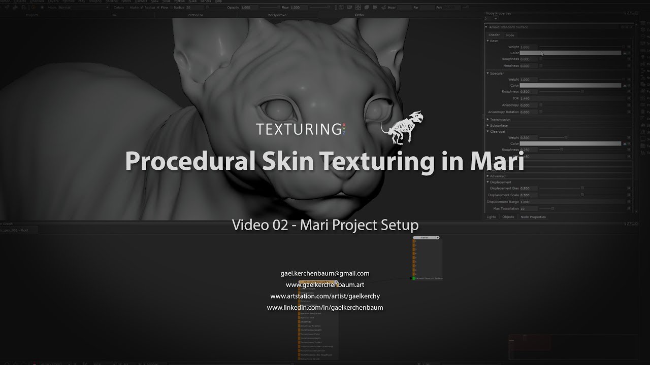 02 - How to texture skin in Mari - Mari Project Setup - YouTube