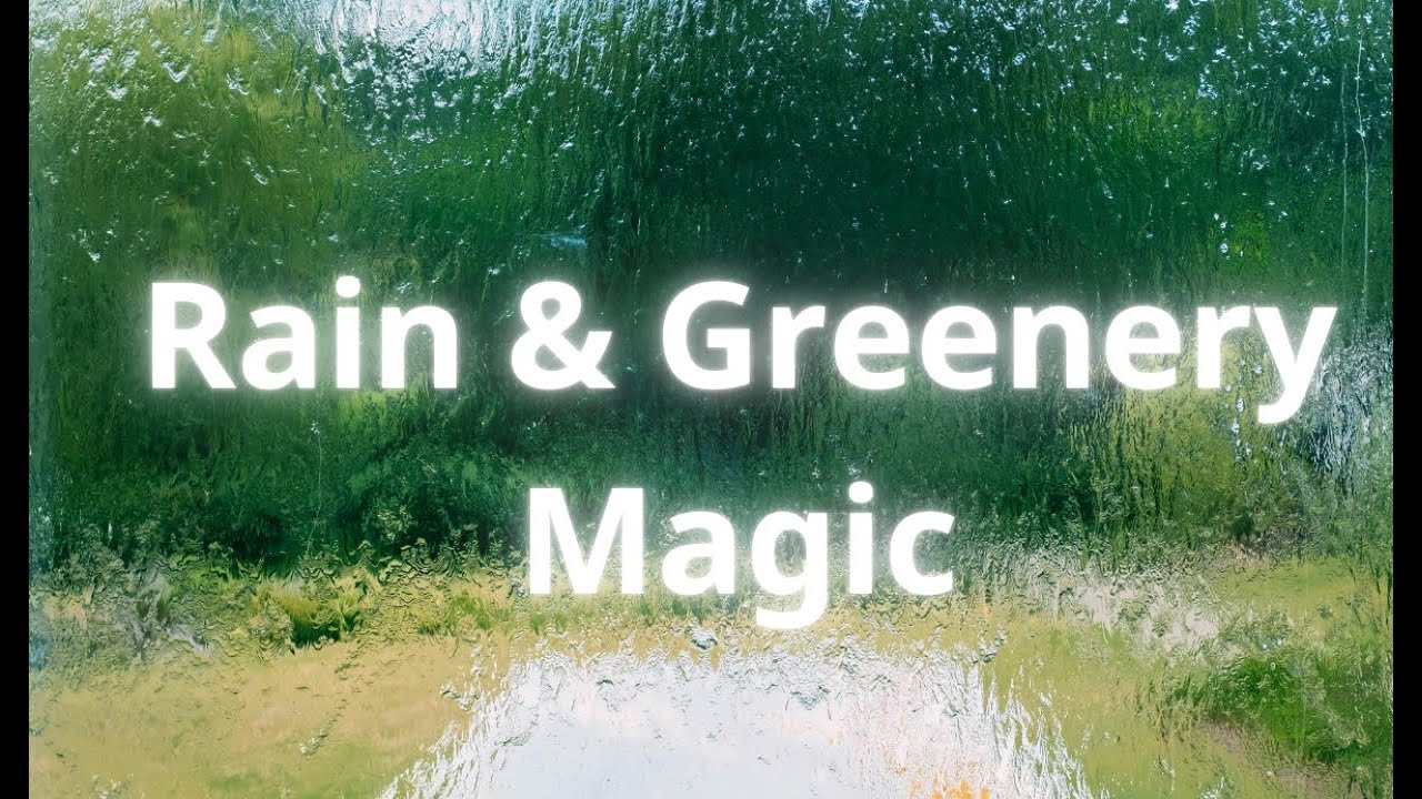 The Magic of Rain & Trees – Nature’s Perfect Duo - YouTube