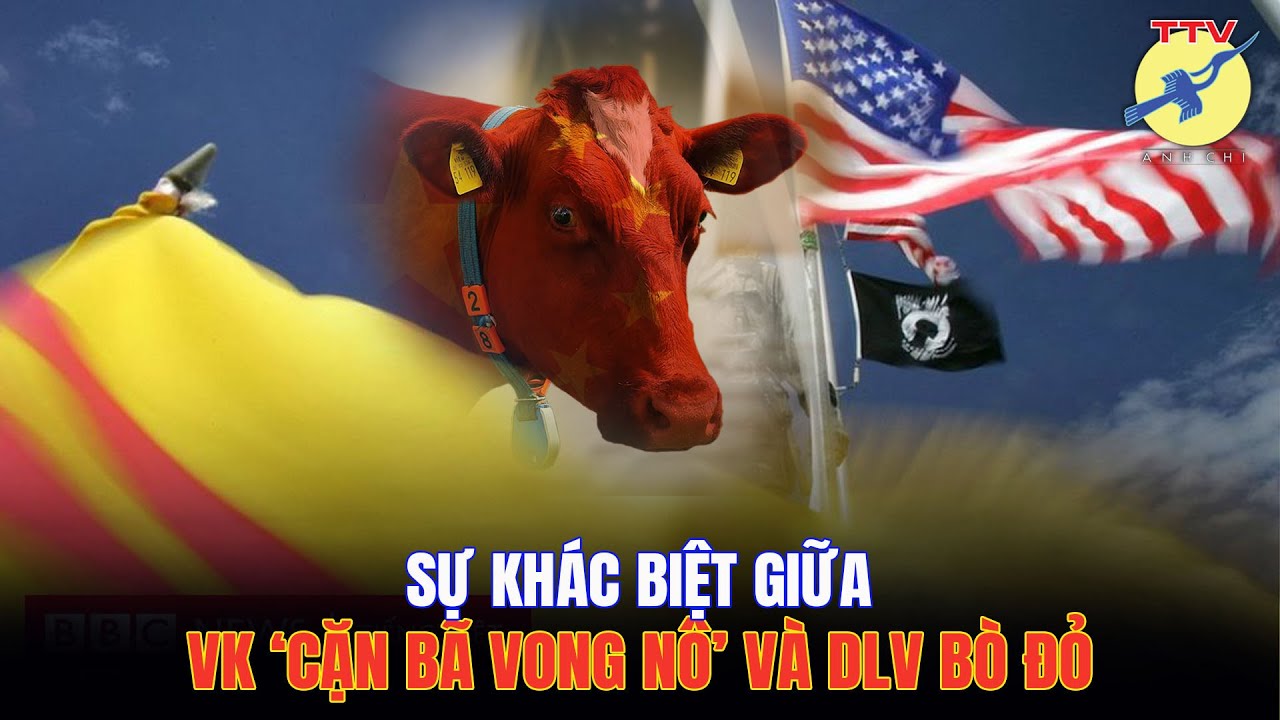 🎯 Sự khác biệt giữa VK 'căn bã vong nô' và DLV bò đỏ.. - YouTube