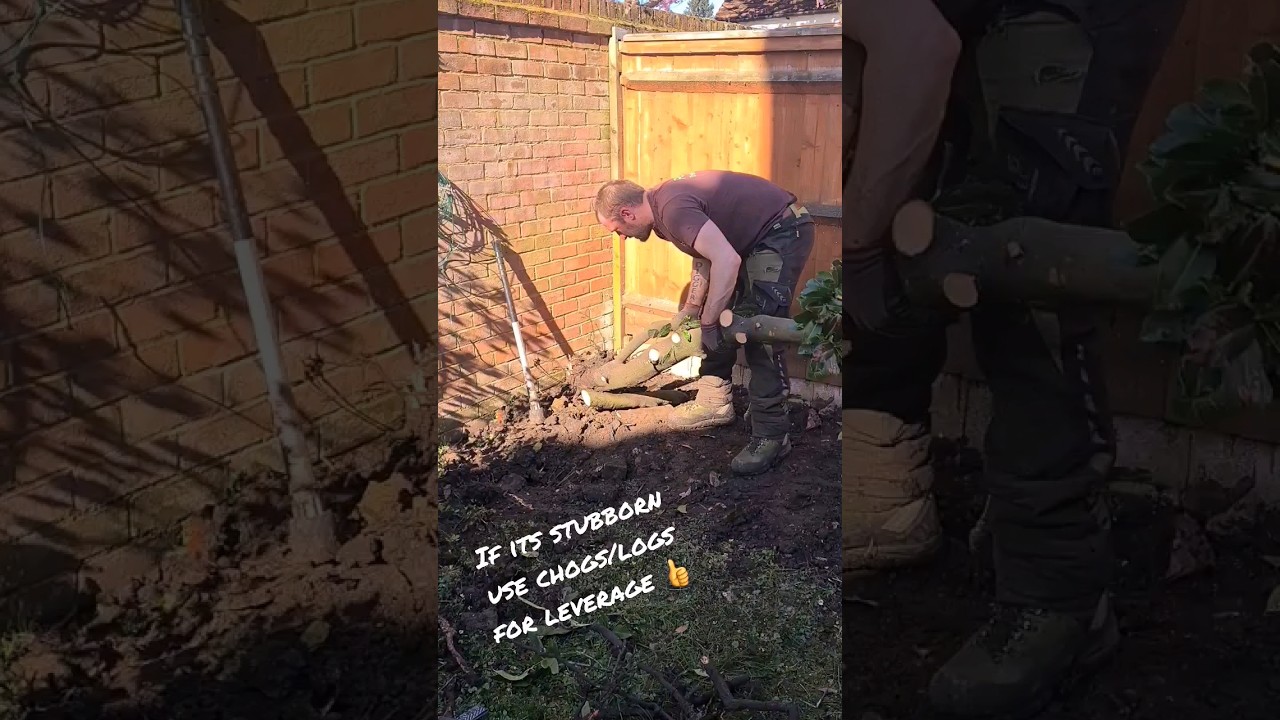 Grub Out Technique 👍 watch more - https://youtu.be/RG2izs4Z2o8 - YouTube