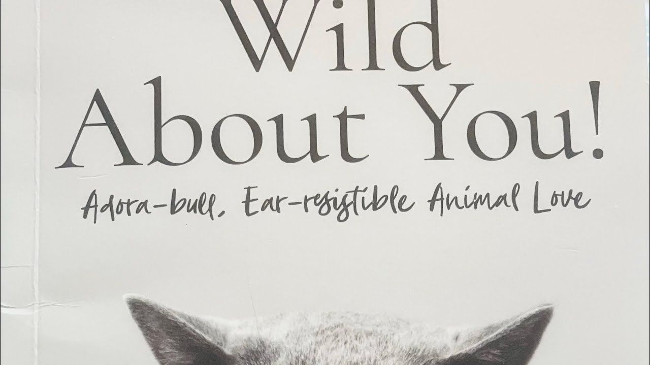 Wild about you - narrator - YouTube