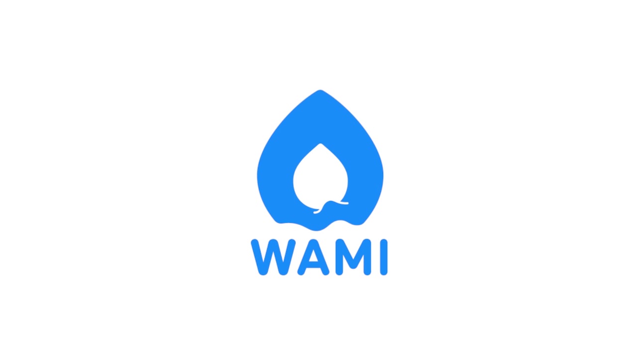 WAMI Logo Reveal - YouTube