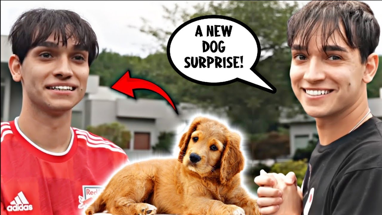 Lucas and Marcus | The Surprise Of A New Dog | Dobre Brothers - YouTube