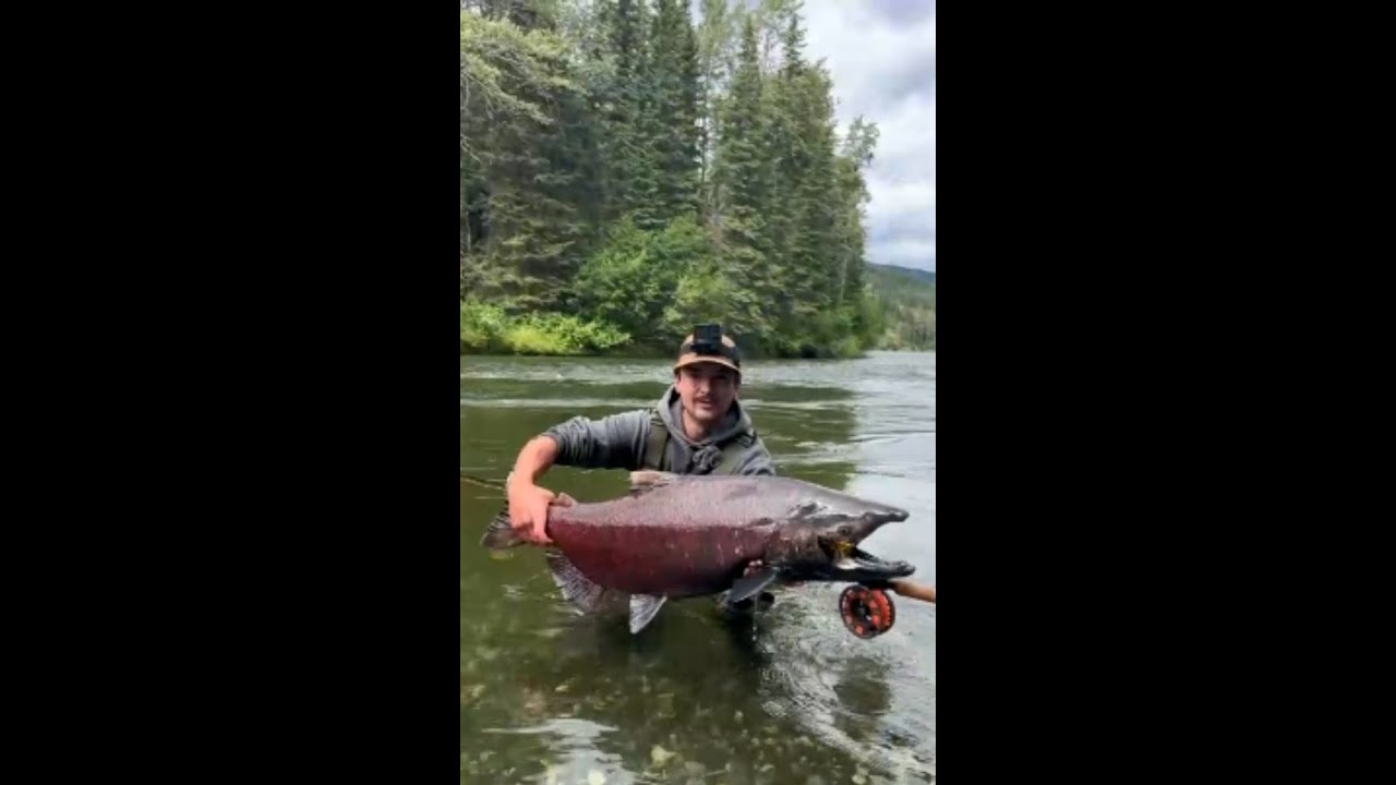 "The Biggest Salmon in the World?! Record-Breaking Monster Salmon ...