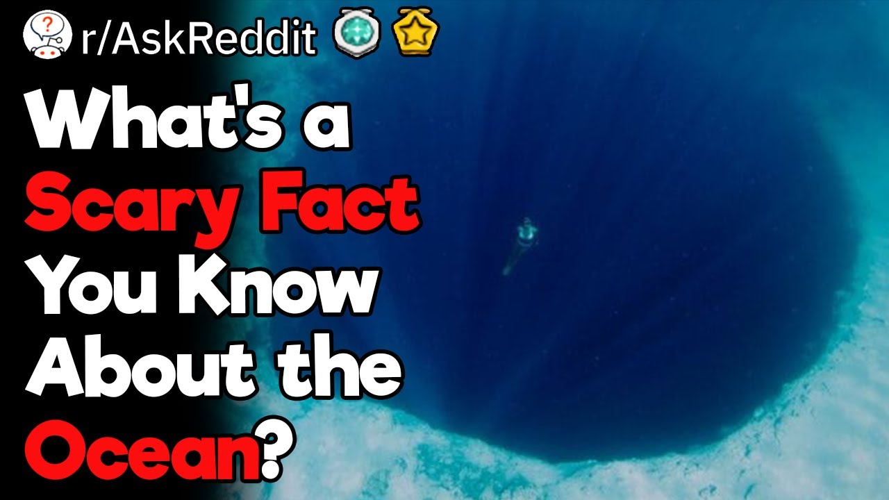 Scaries Facts About the Ocean - YouTube