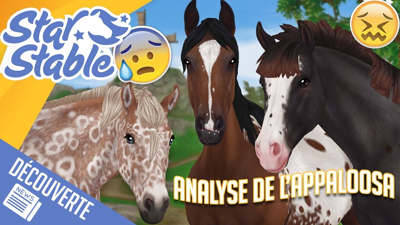 L'APPALOOSA : Mon avis. 🔥 | Star Stable - SSO - YouTube