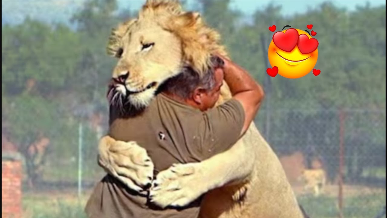 Emotional Reunions: Animals Rediscover Their Humans After Years Apart ...