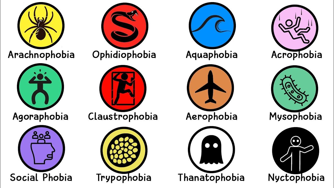 Every Phobias/Fears in 10 Minutes - YouTube