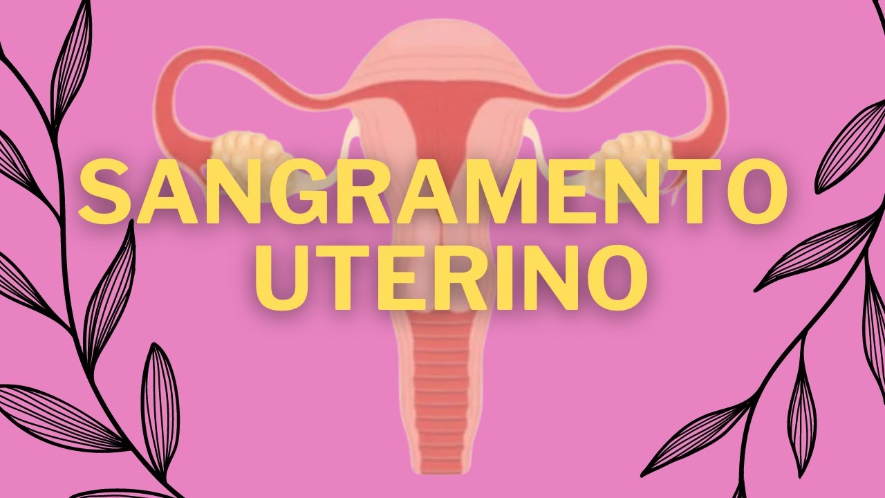 Sangramento Uterino Anormal e Anatomia do Sistema Reprodutor Feminino ...