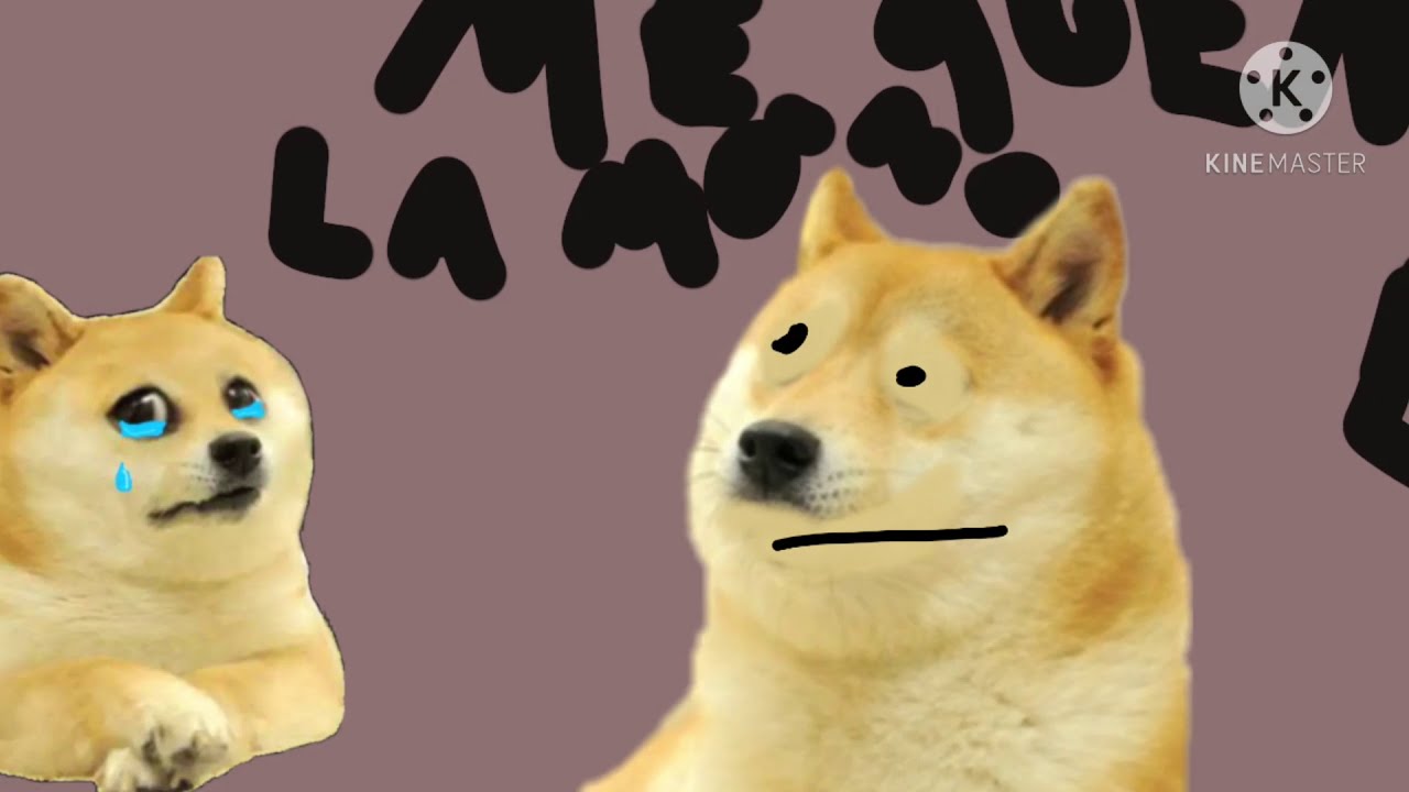 historias con cheems #4 ( la vez que me queme la mano) - YouTube