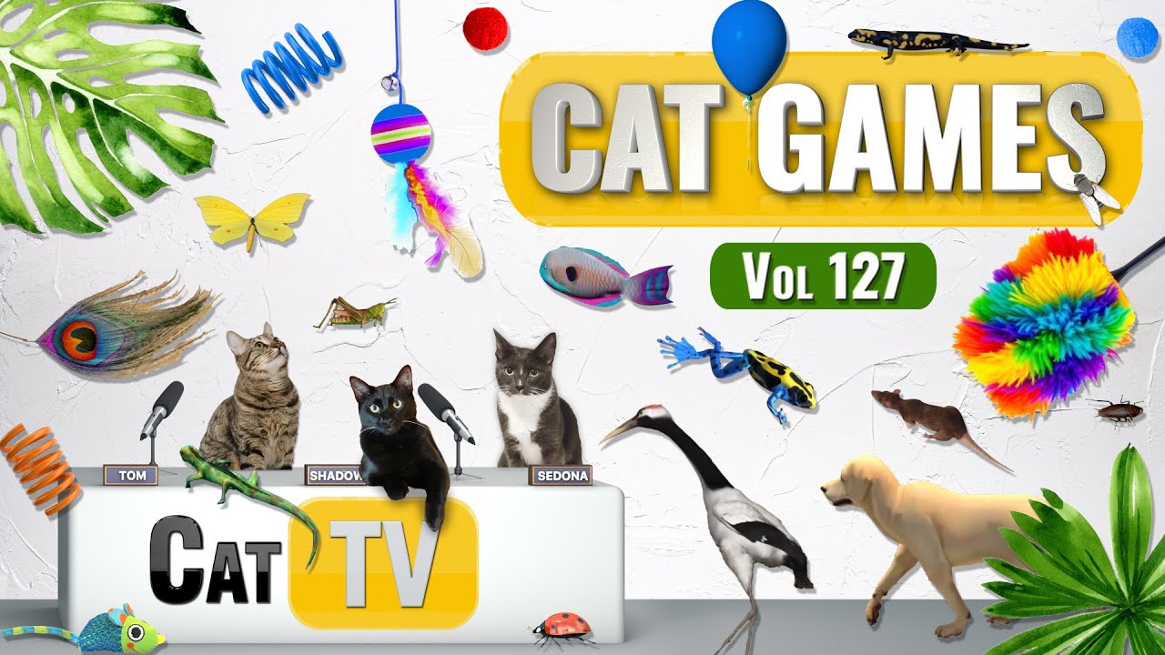 CAT Games | Ultimate Cat TV Compilation Vol 127 | 8 HOURS 🐝🐞🦋🦎🦜🐜🐭🧵 ...