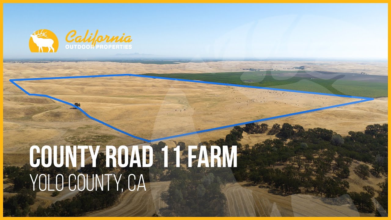 County Rd 11 Farm | Yolo County, California - YouTube