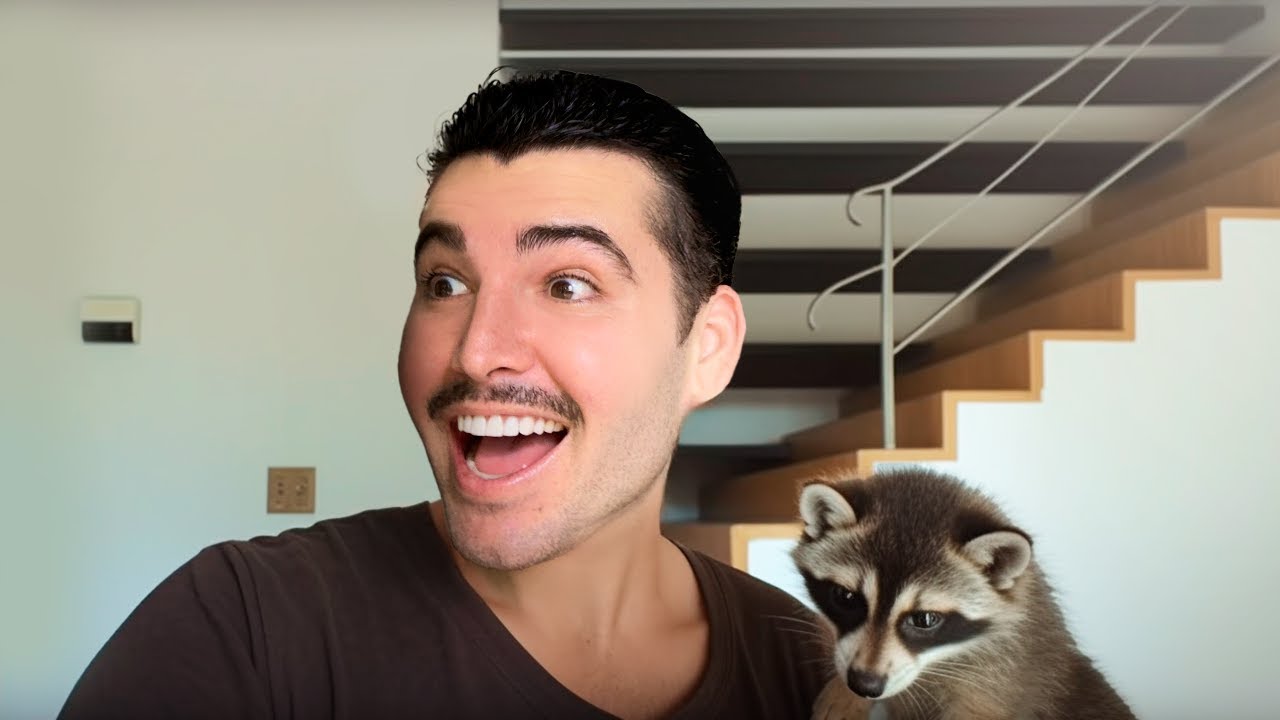 Así quedó la nueva casa de mi mapache - YouTube