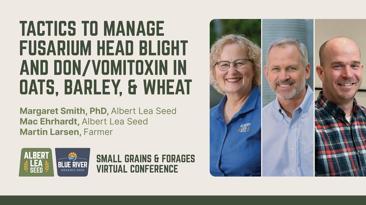 Managing Fusarium Head Blight and DON/Vomitoxin, in Oats, Barley, and ...