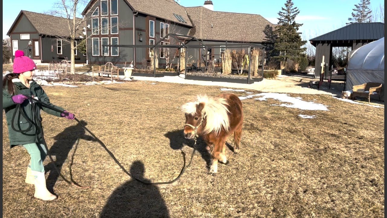 Pony Funtime! Going for a Walk and Run - YouTube