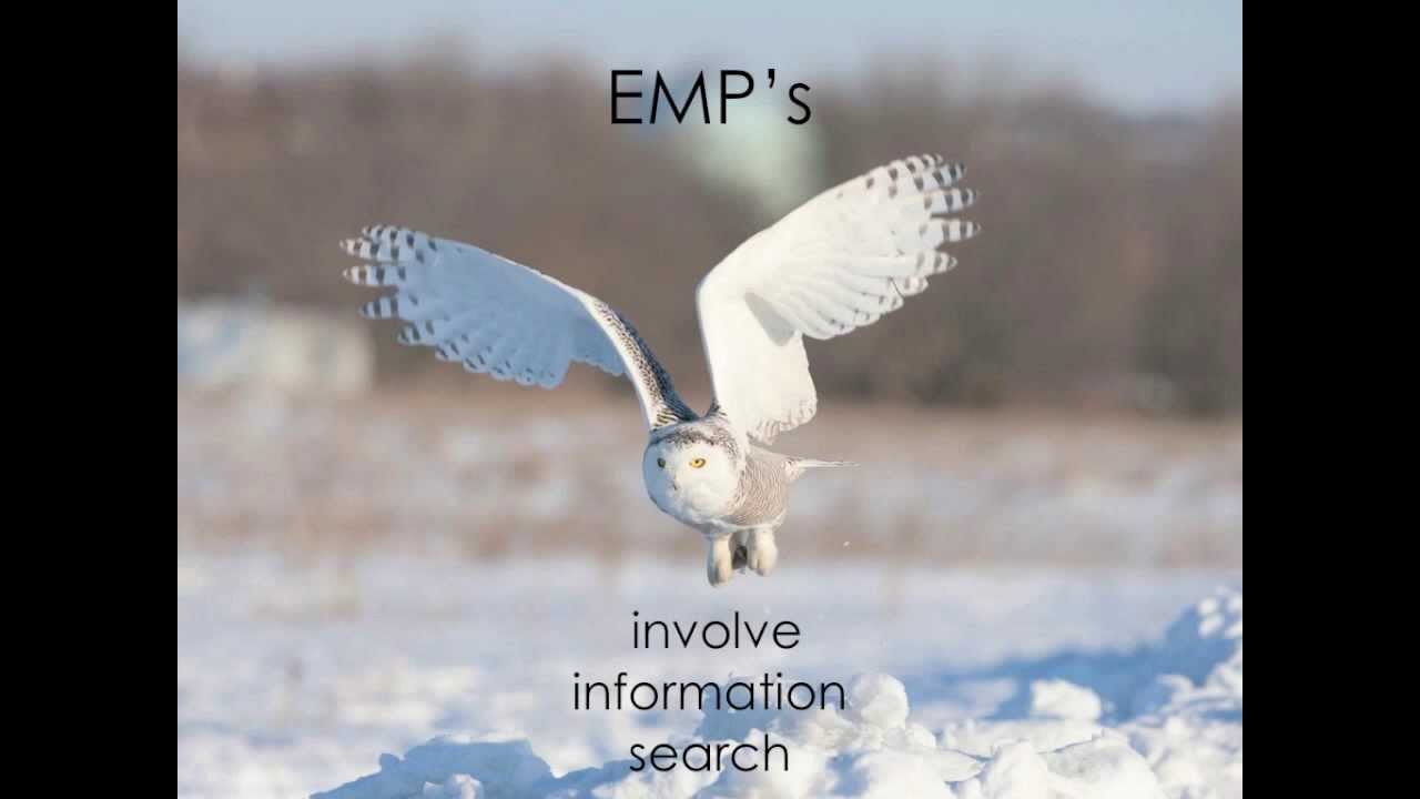 Presentations - PSE Principles - Picture Superiority Effect - YouTube