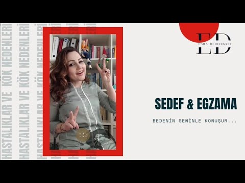 SEDEF & EGZAMA